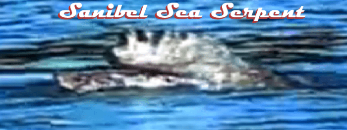 Top 7 Cryptids Prowling Around Florida - HubPages