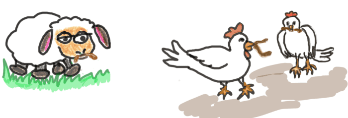 Billy, the Silly Sheep - HubPages