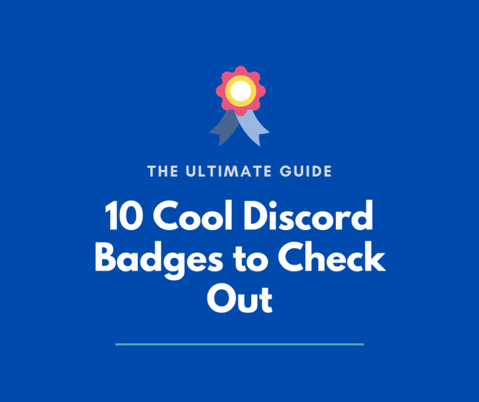 The Ultimate List of Discord Badges and How to Get Each - HubPages