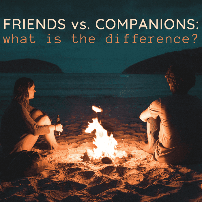 The Difference Between a Friend and a Companion - PairedLife