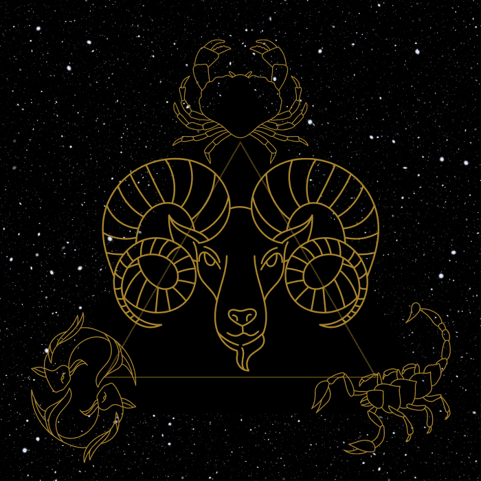 Working for an Aries Boss: High Expectations and Great Results - HubPages