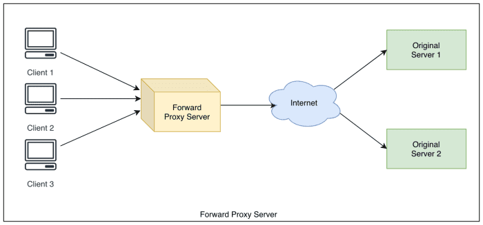 What is Proxy? Here's Everything You Need To Know About Web Proxies ...