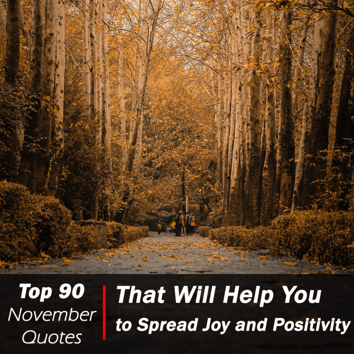 Top 90 November Quotes That Will Help You to Spread Joy and Positivity ...