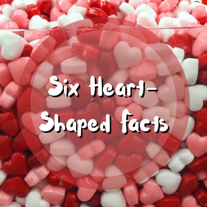 6 Weird Facts About Hearts and Heart-Shaped Things - HobbyLark