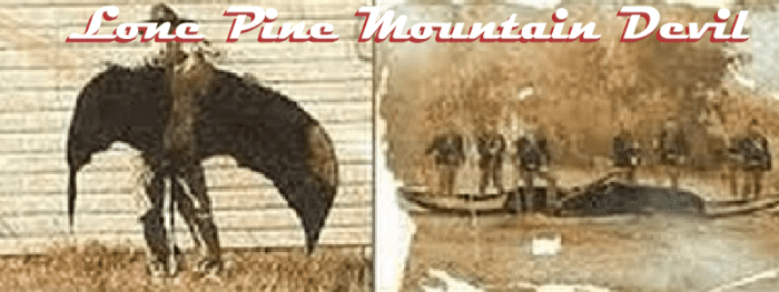 Top 10 Cryptids Creeping Around California - HubPages