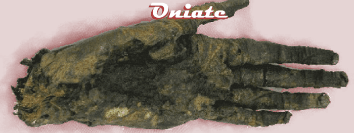 Top 10 Cryptids Sneaking Around New York - HubPages