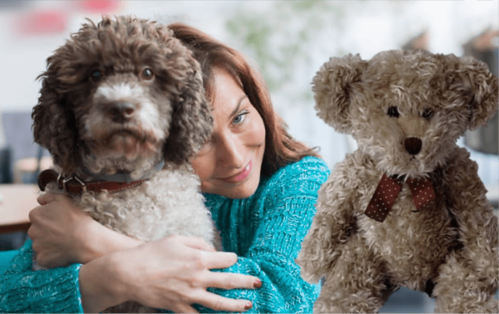 11 Dogs Like Big Teddy Bear - HubPages