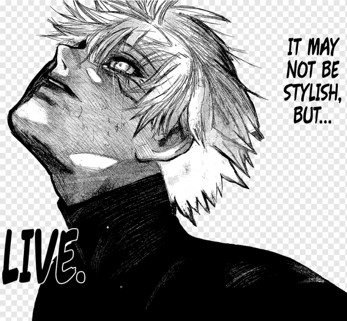 Tokyo Ghoul is a Masterpiece (Tokyo Ghoul Characters, Plot, Complexity ...