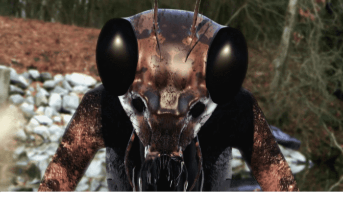 The Mantis Man of the Musconetcong River - HubPages