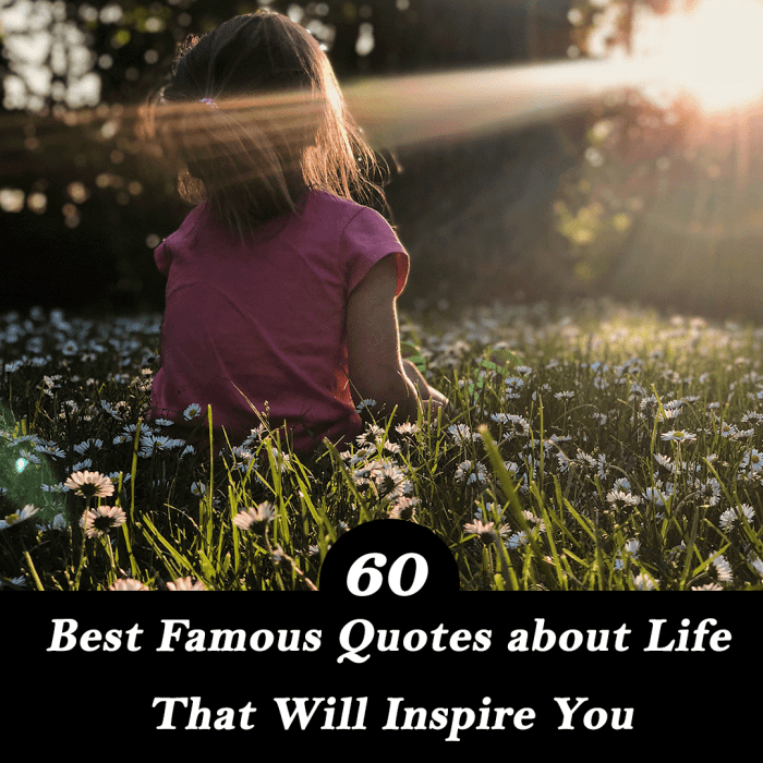 72 Best Famous Quotes about Life That Will Inspire You - HubPages