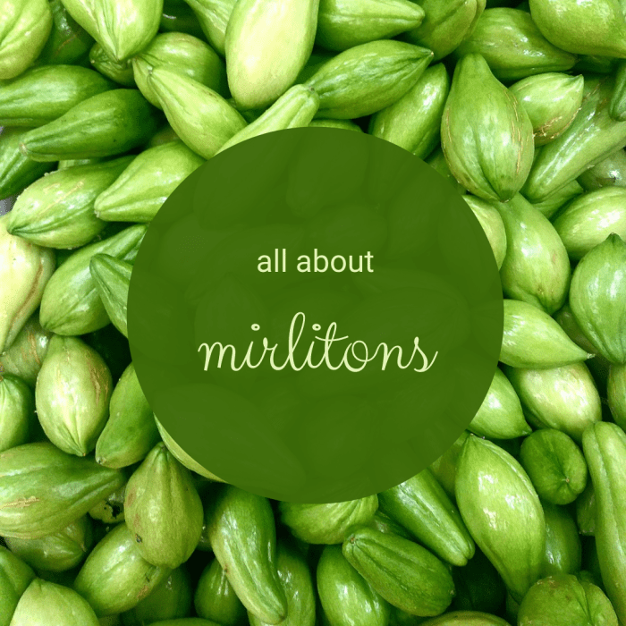4 New Orleans Mirlitons Recipes (Plus How to Grow Mirlitons) - HubPages