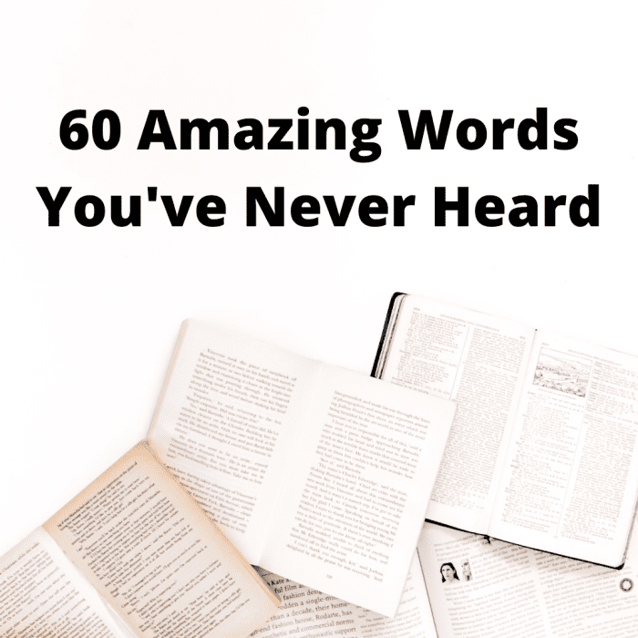 60 Amazing Words You ve Never Heard Of Owlcation 60 Amazing Words You ve Never Heard Of Owlcation