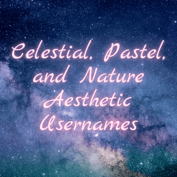 200+ Cute and Aesthetic Usernames for Instagram - HubPages