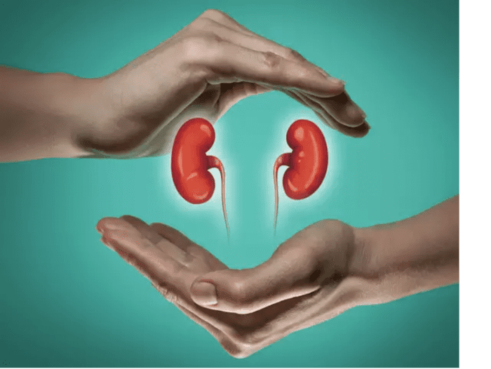 Water and Life: 11 Benefits of H2O - HubPages