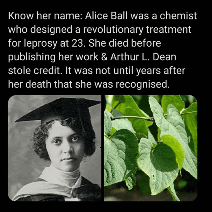 The Pioneer Of Leprosy Treatment: Alice Augusta Ball - HubPages