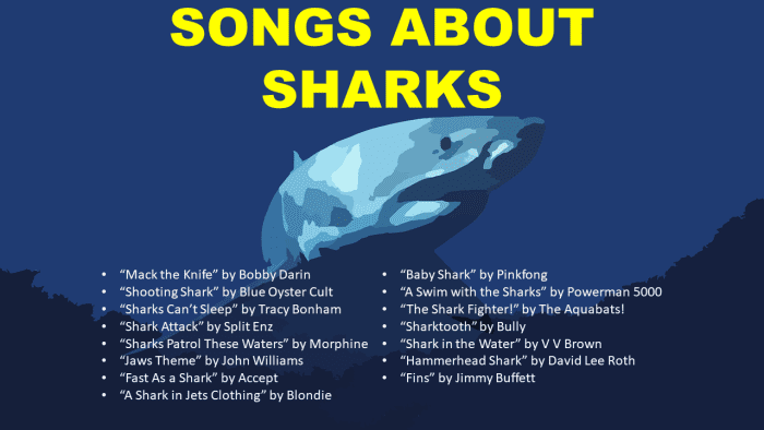 50 Songs About Sharks - HubPages