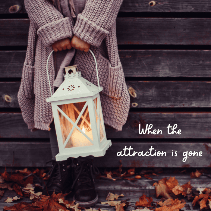 What To Do If Youre Not Sexually Attracted To Your Husband Pairedlife