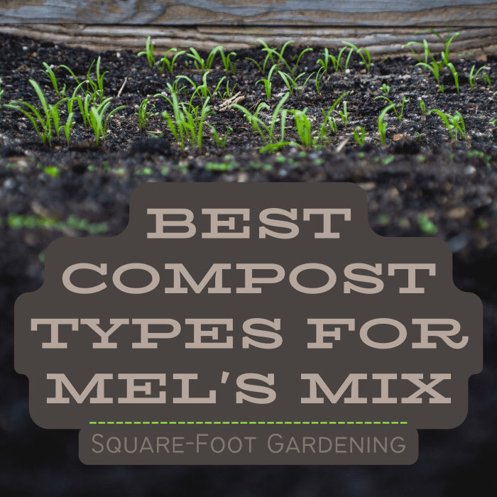 Best Compost Ingredients for Mel's Mix (Square-Foot Gardening) - Dengarden