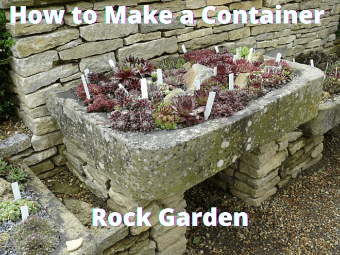 How to Make a Container Rock Garden - Dengarden