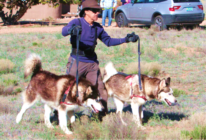 The 20 Military Working Dog Breeds - HubPages