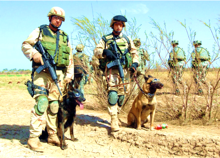 The 20 Military Working Dog Breeds - HubPages