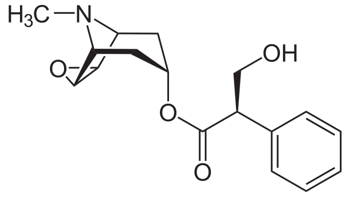 The History, Botanical Origin, and Medical Uses of Scopolamine - HubPages