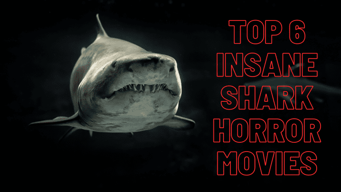 Top 6 Insane Shark Horror Movies - HubPages