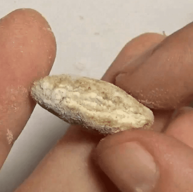 Making a Miniature Bread Using Polymer Clay - HubPages
