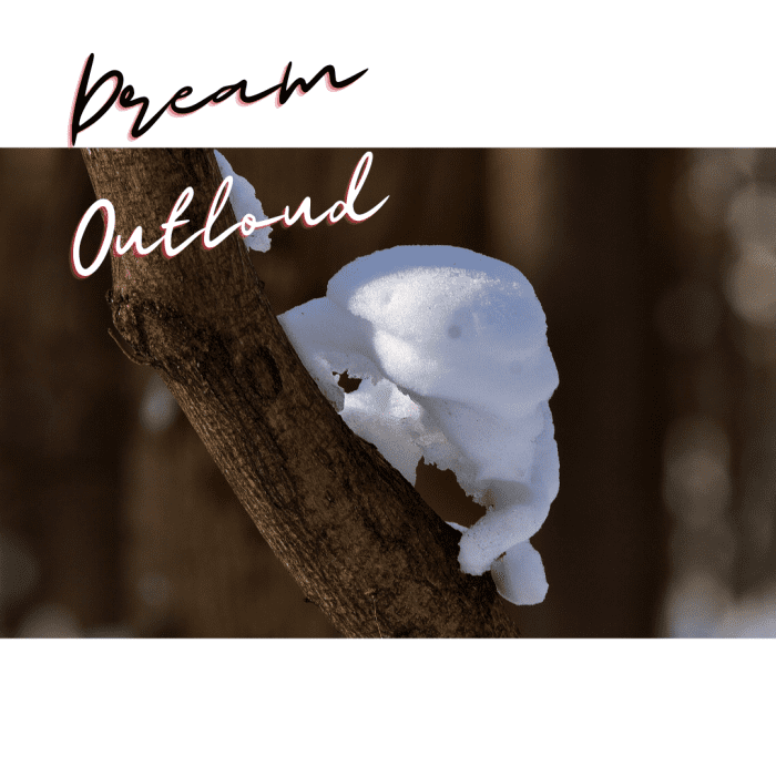 What Does Snow Mean in Dreams? - HubPages