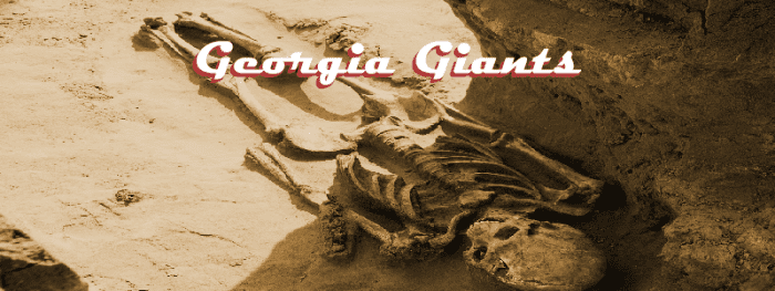 Top 10 Cryptids Lying Low in Georgia - HubPages