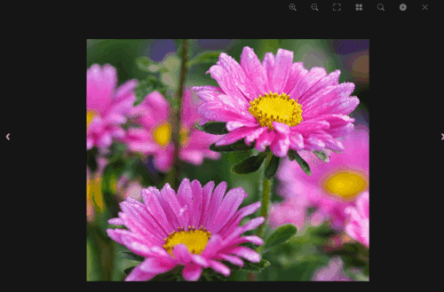 How to Add a React Lightbox to Your Website: Ultimate Guide - HubPages