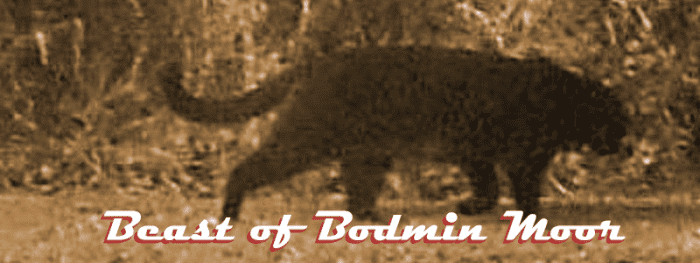 Top 10 Cryptids Living in England - HubPages