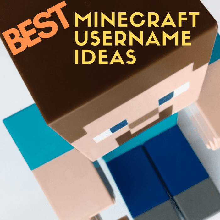 200+ Great "Minecraft" Username Ideas - HubPages