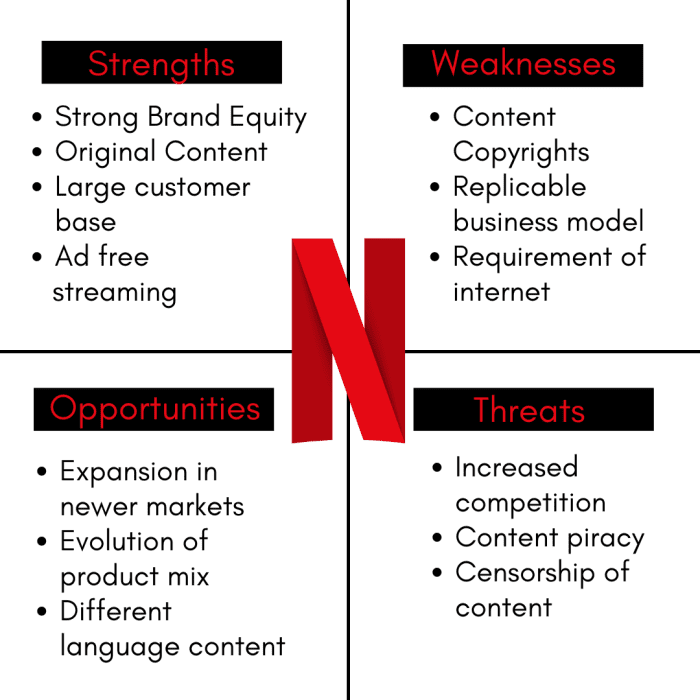 A Complete SWOT Analysis of Netflix - HubPages