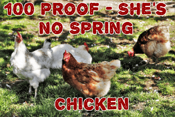 Poem: 100 Proof - She's No Spring Chicken - HubPages