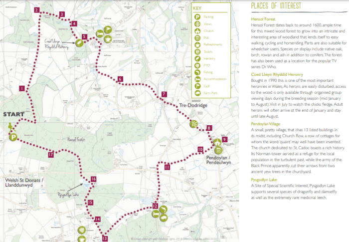 A Forest Escape on Vale Trail 8: Walking in the Vale of Glamorgan ...