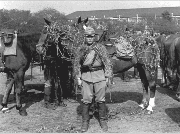 Rikugun: Guide to Japanese Ground Forces, 1937-1945, Volume 1 Review ...