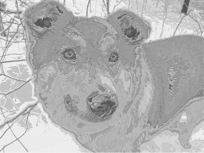 Image to ASCII Art: How to Make Text Drawings - HubPages