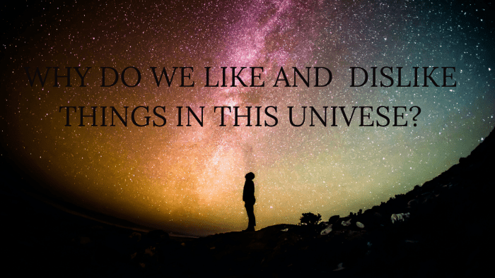 Why Do We Like or Dislike Things in This World? - HubPages
