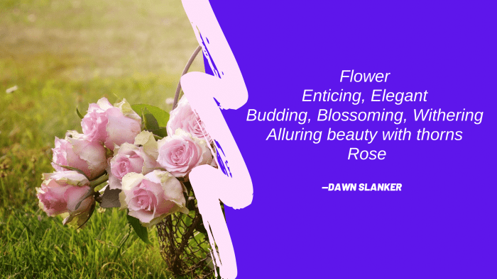 13 Examples of Cinquain Poems - HubPages