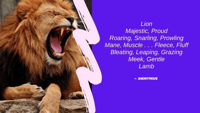 13 Examples of Diamante Poems - HubPages