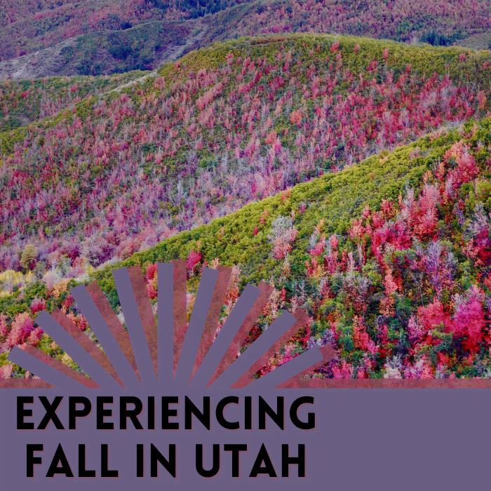 Top Spots for Utah's Fall Colors - HubPages