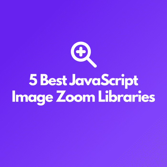 5 Best JavaScript Image Zoom Libraries To Check Out The Ultimate List