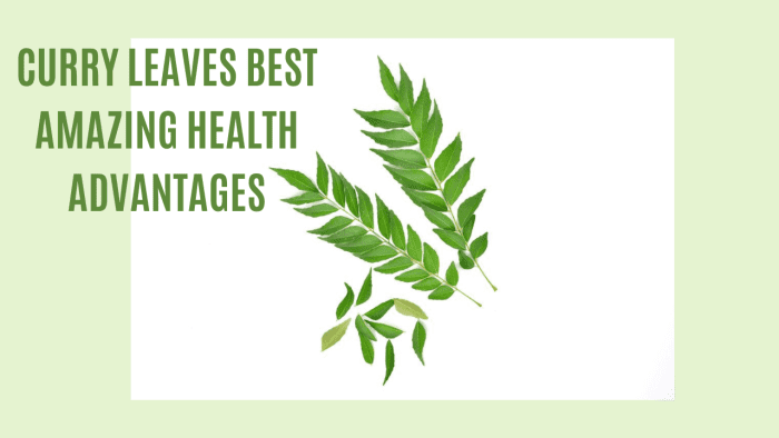 Aware 20 Amazing Health Benefits of Curry Leaves! - HubPages