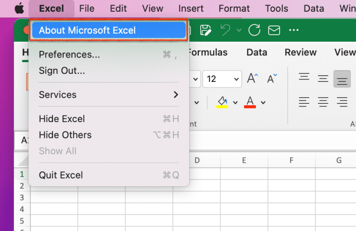 How to Find Out Your Version of Microsoft Excel - HubPages
