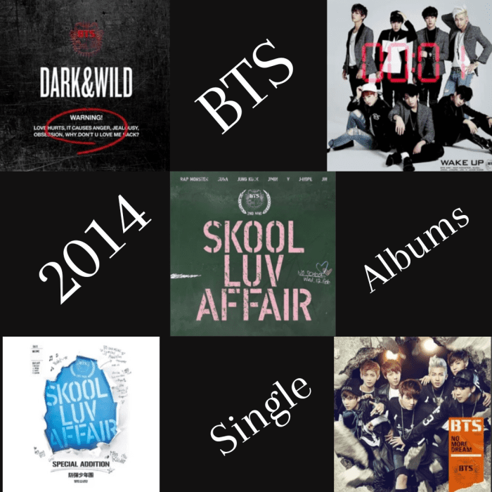 BTS 2014 Journey: Dark & Wild Era - HubPages