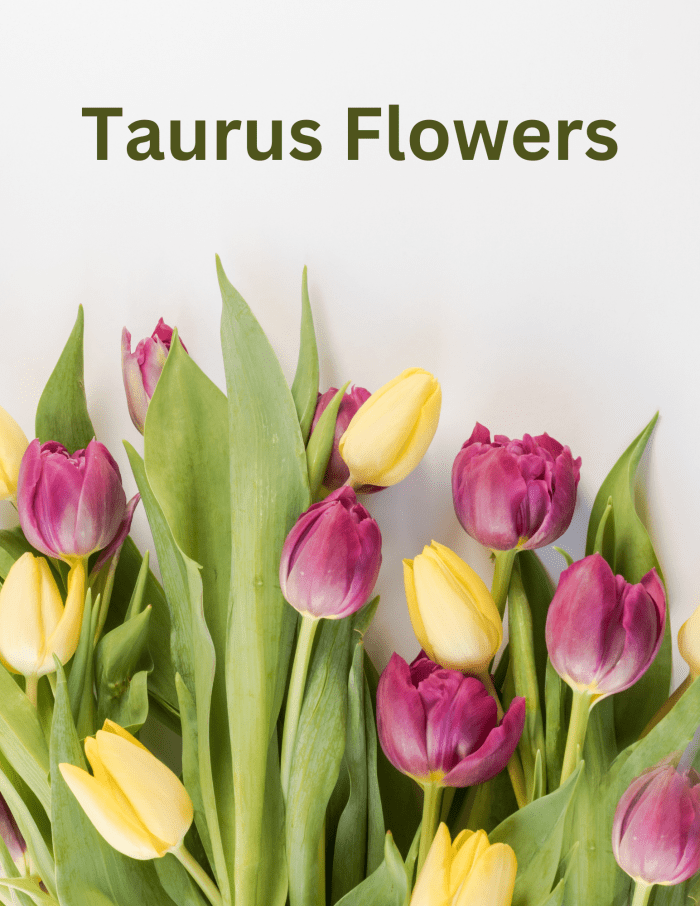 How to Design Your Garden Like a Taurus - HubPages