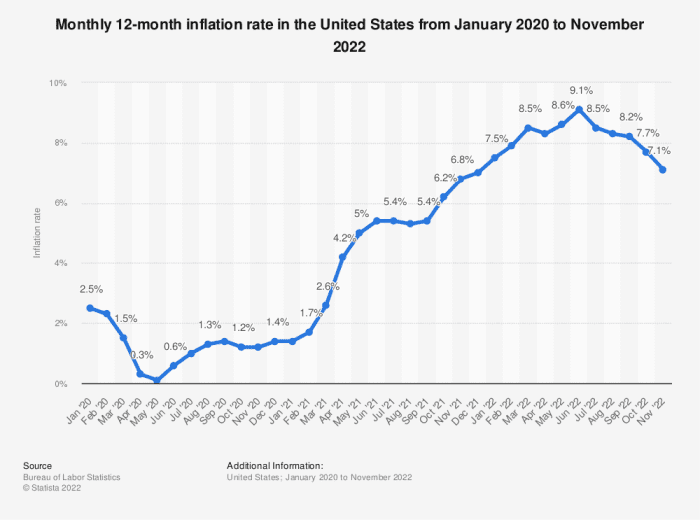 How Inflation and Shrinkflation Affect Our Local Economies - HubPages