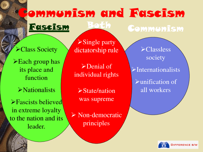 Three Romantic Theories of Fascism, Nazism and Communism and Their ...