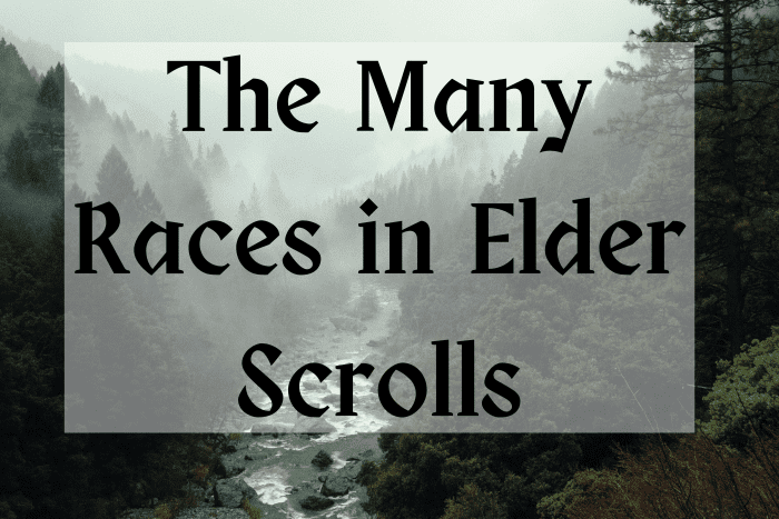 The Many Races of "The Elder Scrolls" and Their History - HubPages